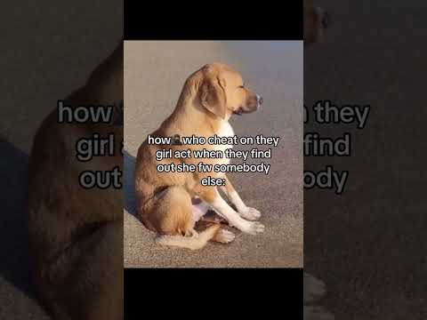 bop