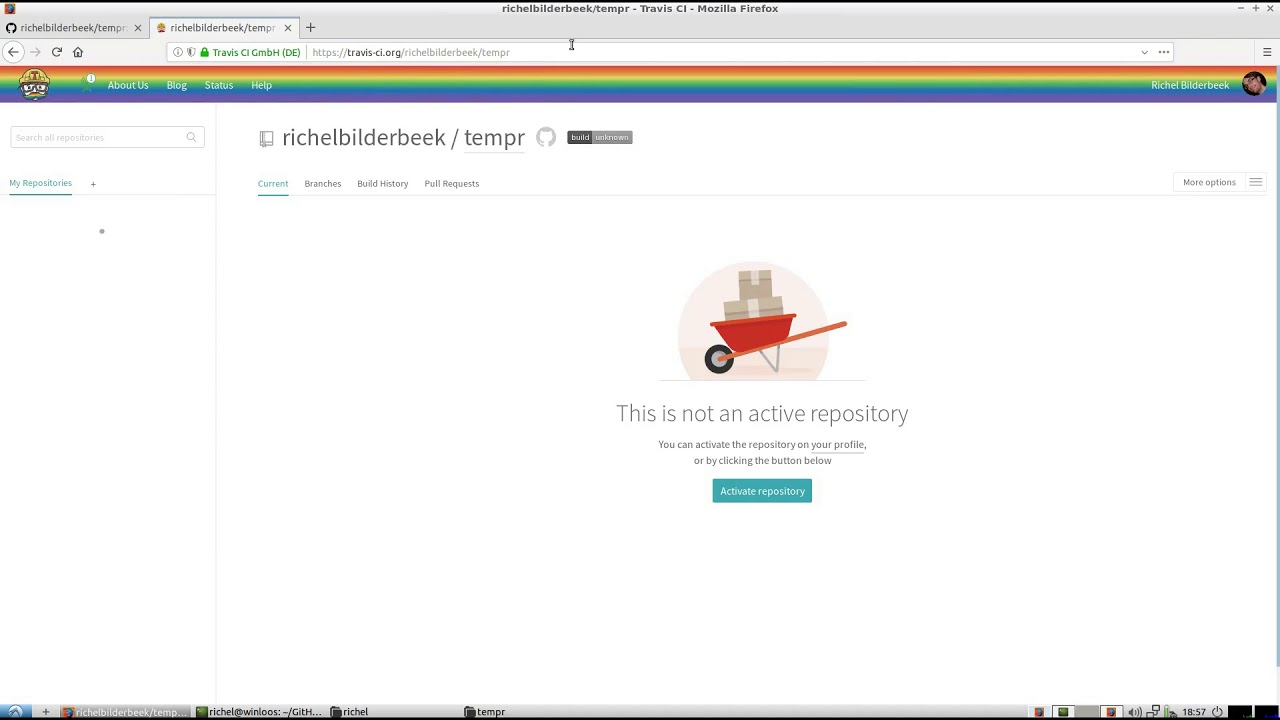 Setting up a GitHub, an R package and Travis CI support