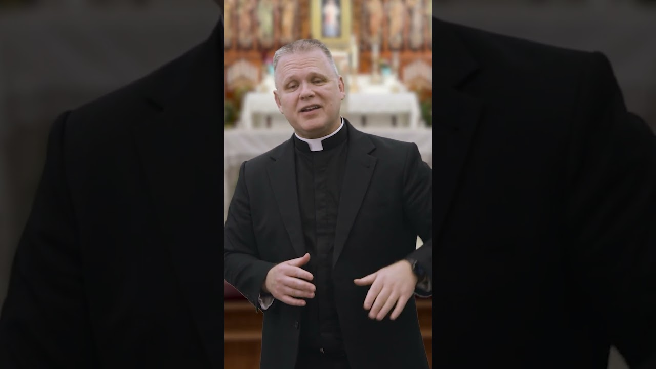 Why Do I Have to Confess My Sins? | Understanding the Sacraments by Fr. Chris Alar