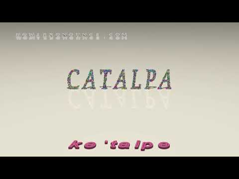 catalpa - pronunciation