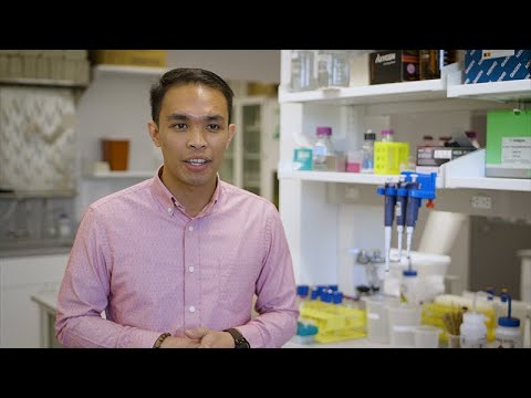 Cornell's Master of Professional Studies program in Food Science