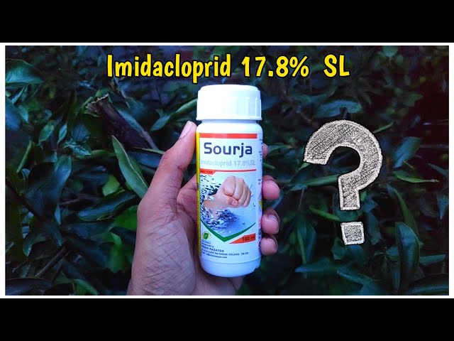Insecticides - Imidore Imidacloprid 17.8% SL Insecticide Manufacturer ...