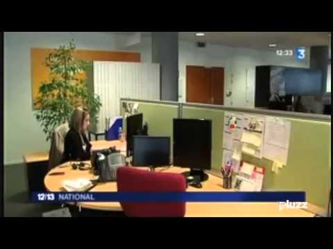 Projet Voltaire Orthographe - France 3 - Le Certificat Voltaire dans les entreprises
