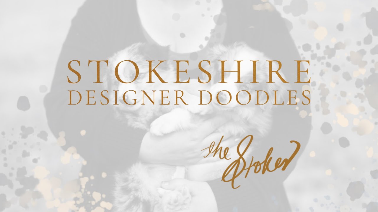 Stokeshire Wisconsin Designer Doodles: Meet the Stokes - A Northern Wisconsin Large Family of 12