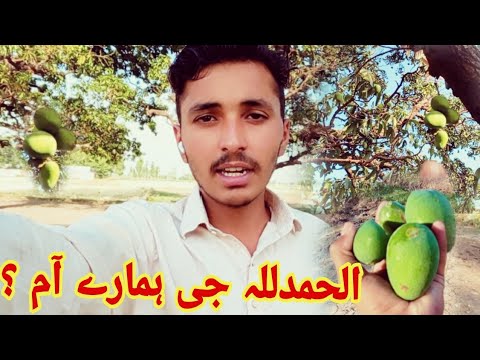 Gaon ki Zindagi ka Nazara / Kamran Village Vlog 👍