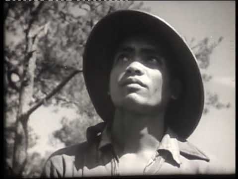 Philippines in 1950's | Life during the Philippines GOLDEN AGE (Old Video)