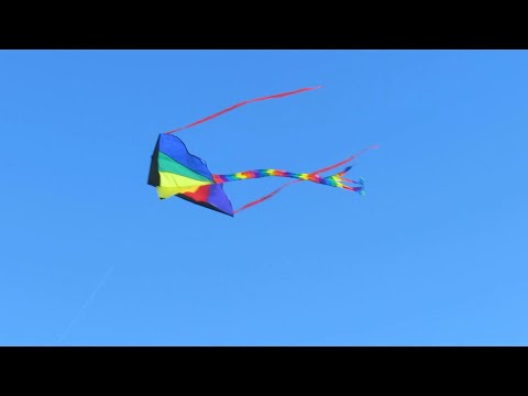 Makar Sankranti: A festival for happiness and good harvest