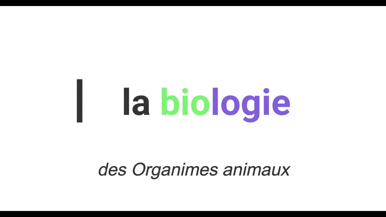 Classe Des Poissons (La Classification)