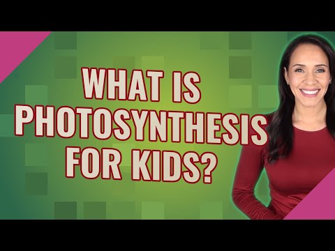 What is photosynthesis for kids?