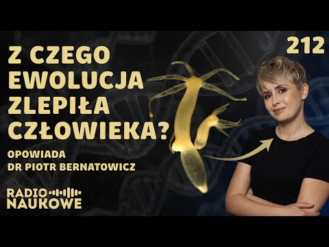 Wspólnota życia – ewolucja odsłania prawdę o pochodzeniu człowieka | dr Piotr Bernatowicz