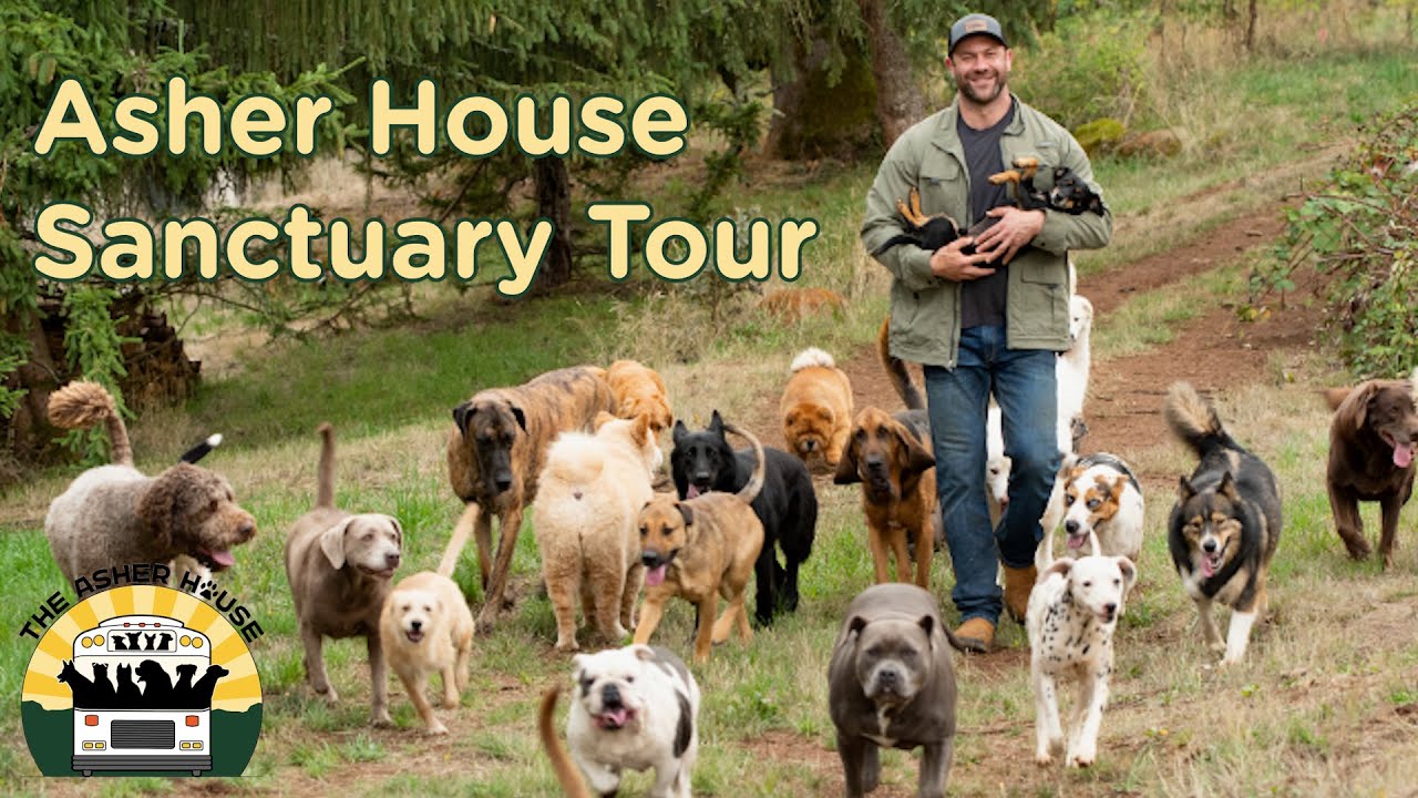 Full Asher House Tour! A behind the scenes look at the sanctuary | The Asher House