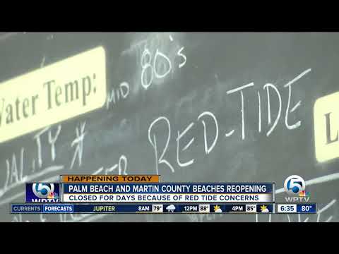 Beaches open today in Palm Beach County following week of red tide closures