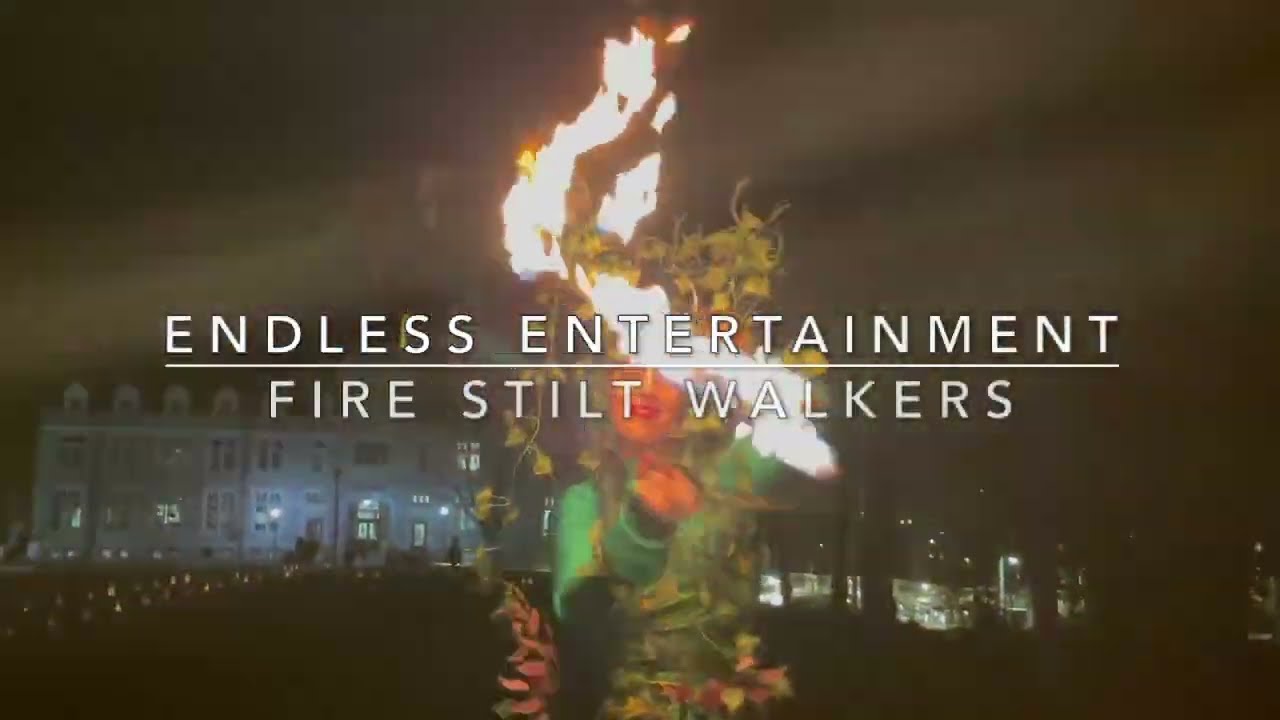 Hire Endless Entertainment - Dance Troupe in Atlanta, Georgia