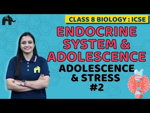The Endocrine System and Adolescence-2 Video Lecture - Biology Class 8 ICSE