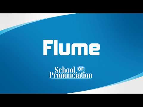 Learn How To Pronounce Flume