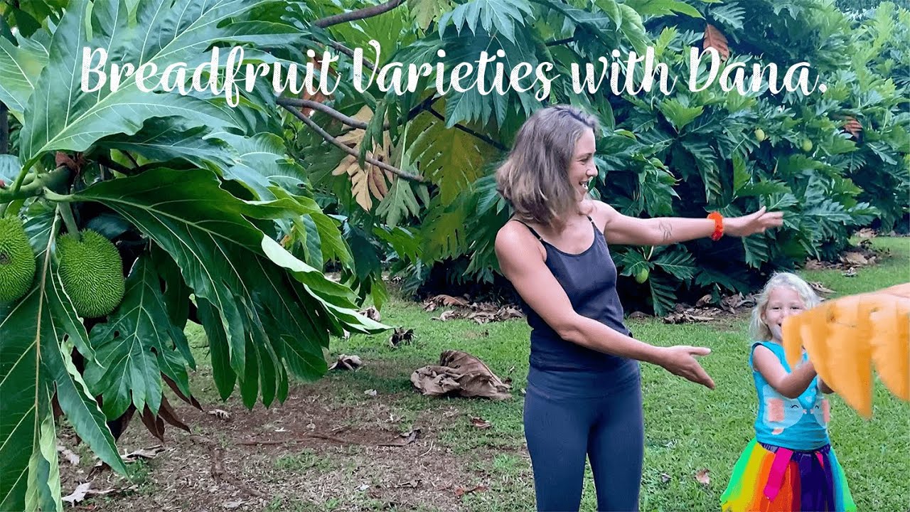 Breadfruit Varieties with Dana Shapiro
