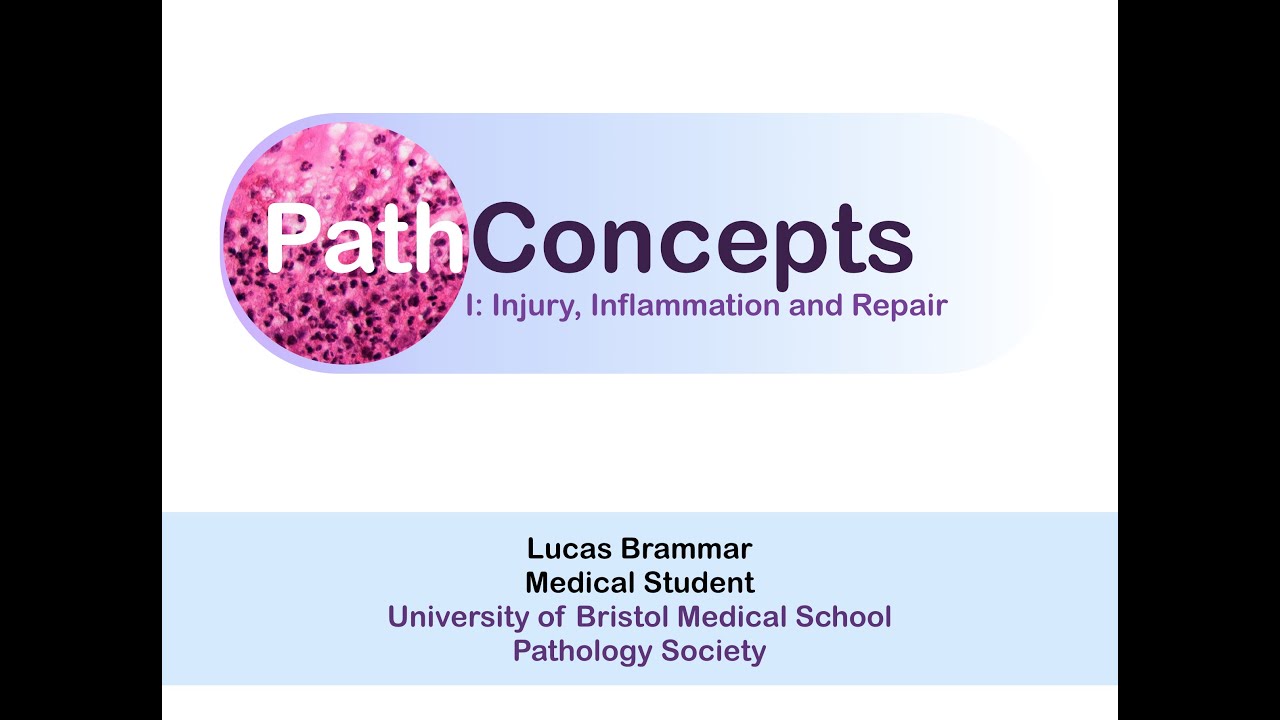 PathConcepts I - Injury, Inflammation and Repair