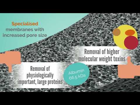 Membrane Series: The Dialysis Membrane(II) - Strategies to Enhance Detoxification