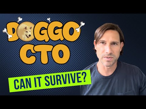 $DOGGO CTO Meme Coin on Ethereum: Developers Sell Out!