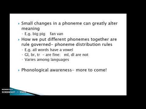 Components of language Part one