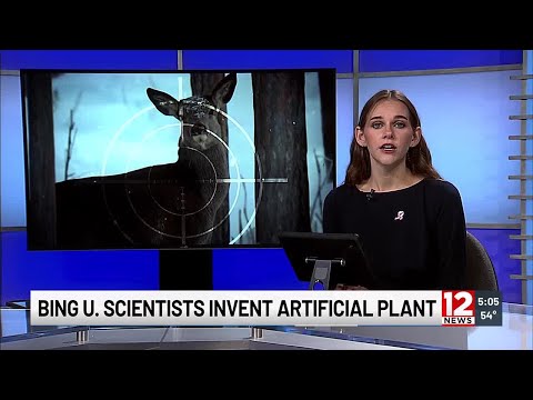 NYS Dept. of Environmental Services holding ‘Youth Big Game Hunt’ weekend