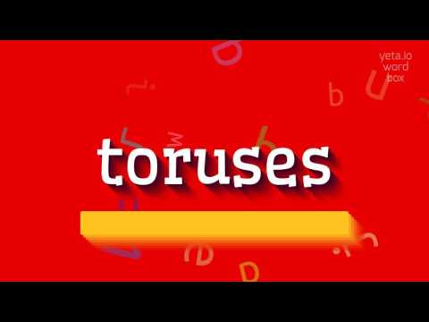 TORUSES - HOW TO PRONOUNCE IT? #toruses