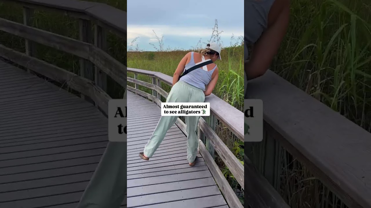 The only trail you need to do in Everglades National Park 👀🐊  #evergladesnationalpark #everglades