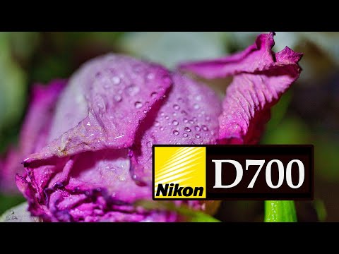 Nikon D700: Stunning camera (25444)
