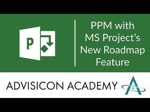 PPM with MS Project's New Roadmap Feature | Advisicon