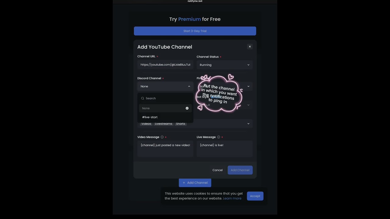 Discord NotifyMe bot permissions tutorial || Mobile || 🧸🎀