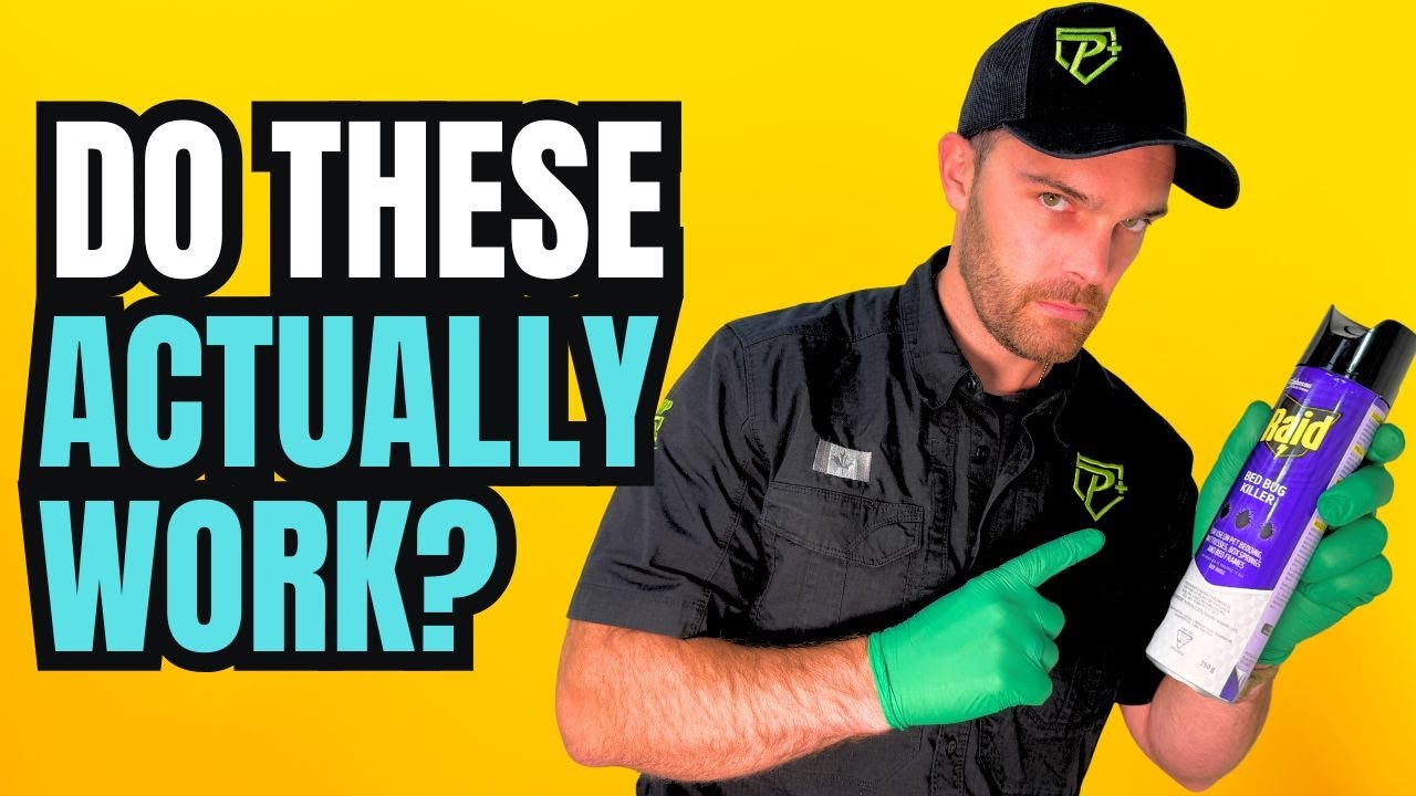 Do Raid Pest Control Sprays Actually Get Rid of Bed Bugs?