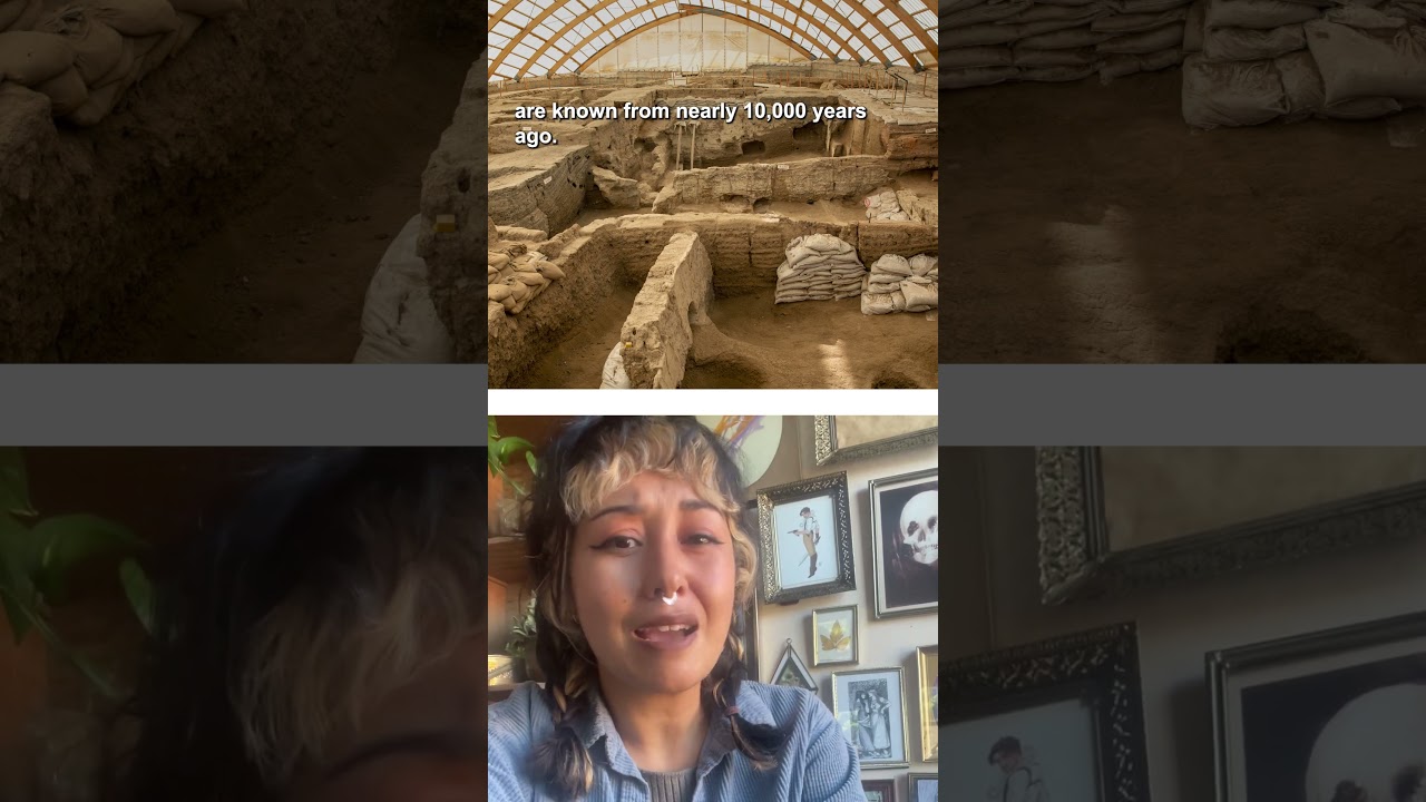 Bed bugs, our first pest