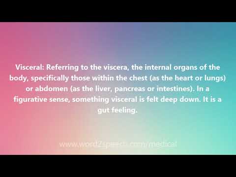 Visceral - Medical Definition and Pronunciation