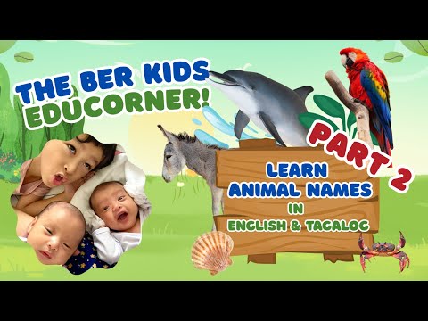Learn Animal Names in English and Tagalog PART 2!| Naming Animals in Filipino | Educational Videos