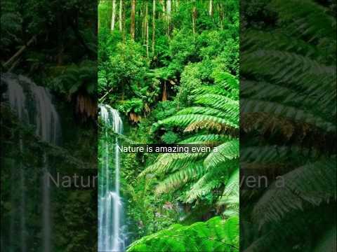 Sahara and Amazon connection | Sahara desert | Amazon forest |Atlas facts | English videos | shorts