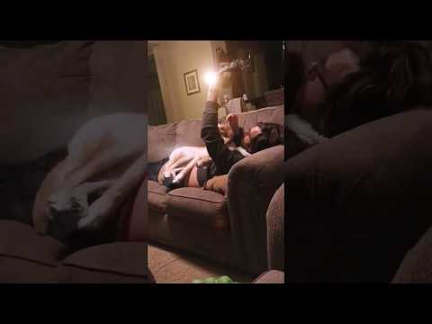 "My dad launching a nuclear missile on my dog"