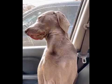 BEUFORD, you listening? [HD]