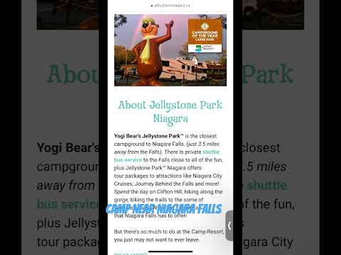 Camp with yogi Bear officially license