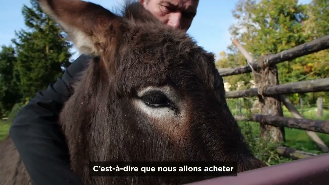 Haras du Pin - métiers