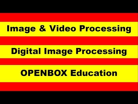 Unleashing the Power of Digital Video Processing: Exploring Trends ...