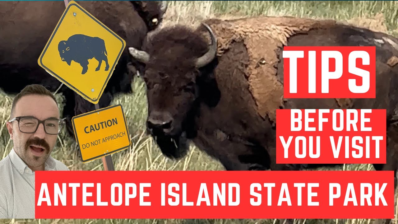 Antelope Island State Park: Everything You Need to Know