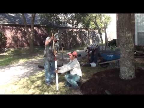 deep root tree watering systems - Useful Gardening Tips