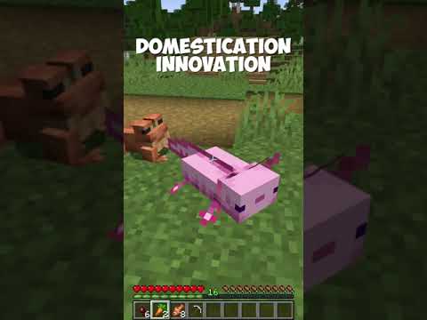 3 #Minecraft 1.19 Mods You Need! - Part 8