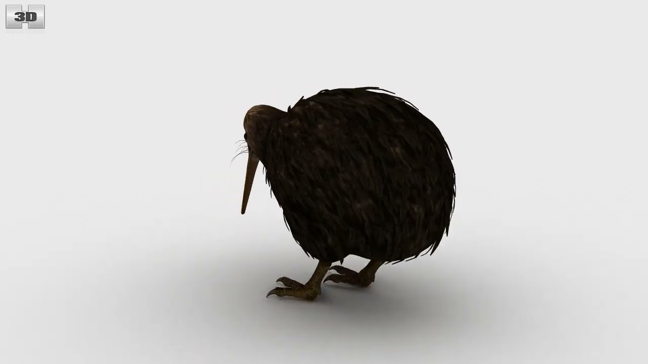 Kiwi Low Poly 3D model by 3DModels.org