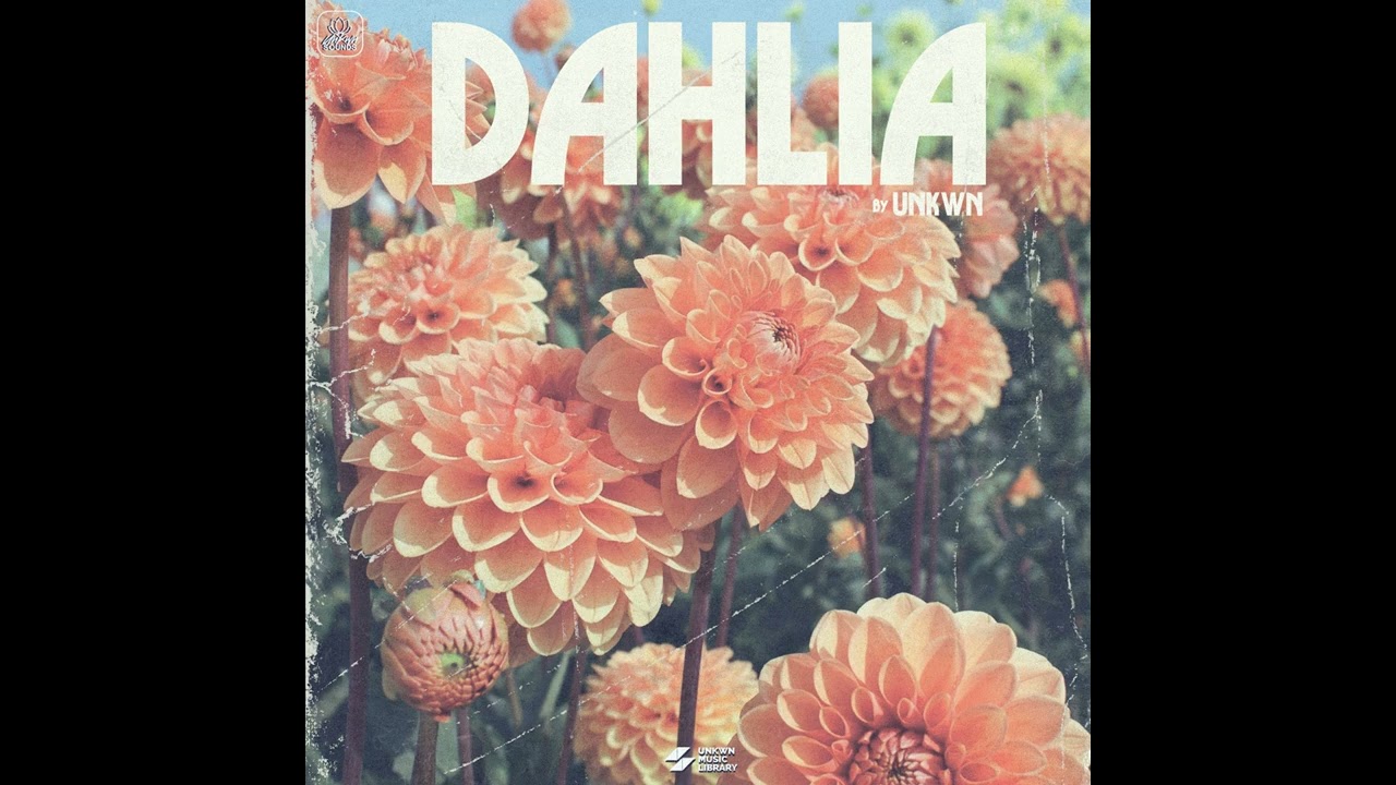 UNKWN Sounds - Dahlia (Sample Pack)