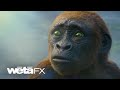 Suko | Wikizilla, the kaiju encyclopedia