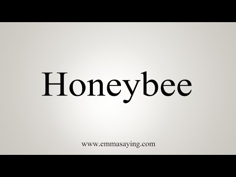 How To Say Honeybee