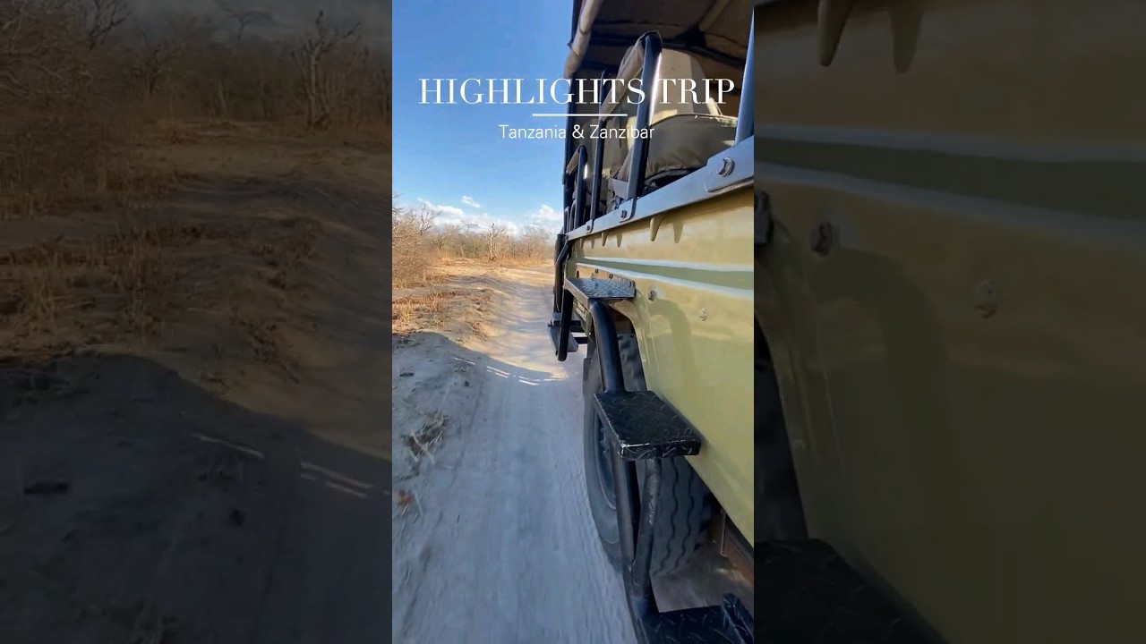 All the highlights in one trip #tanzania #travel #fy #vj #foryou #africa #fypage #tiktok #bucketlist