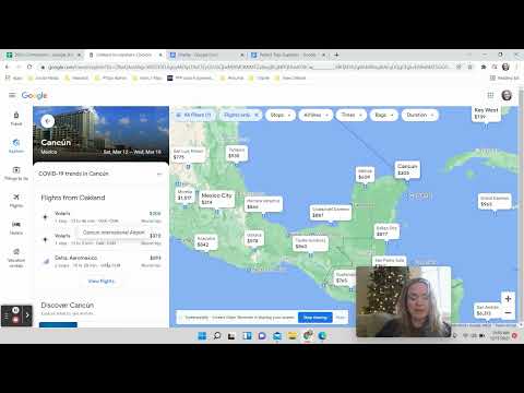 Google Flight Matrix