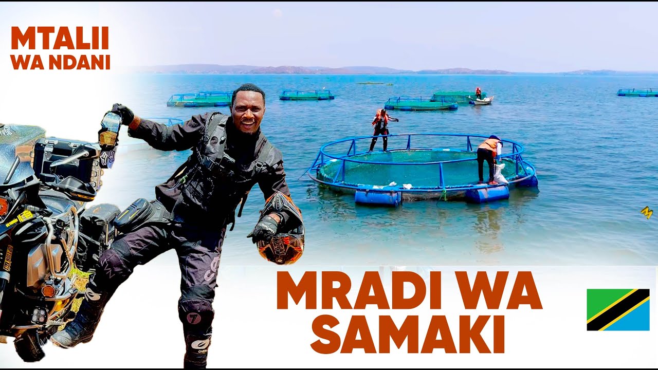 WATCH: PROJECT OF FISH FARMING IN LAKE VICTORIA MWANZA TANZANIA - News ...